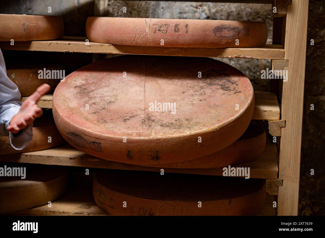 Cheese check in aging rooms with many shelves in caves, central ...