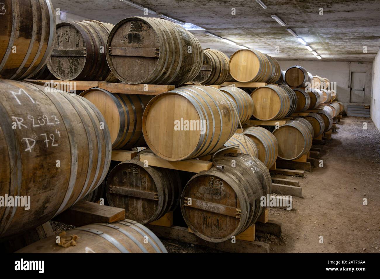 Aging process of cognac spirit in old dark French oak barrels in cool ...