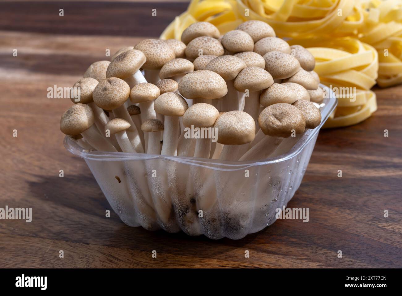 Fresh brown shimeji edible mushrooms native to East Asia, buna-shimeji ...