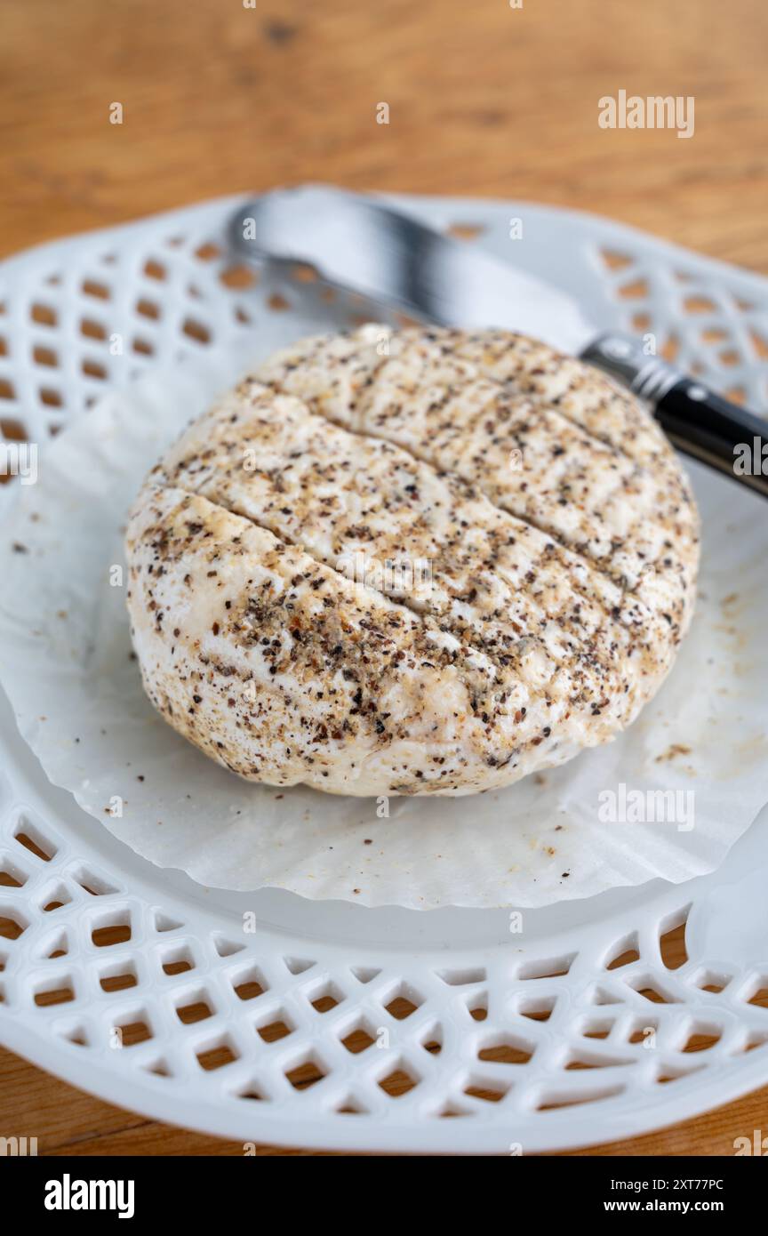 French fresh white soft goat cheeses with topping made with black ...