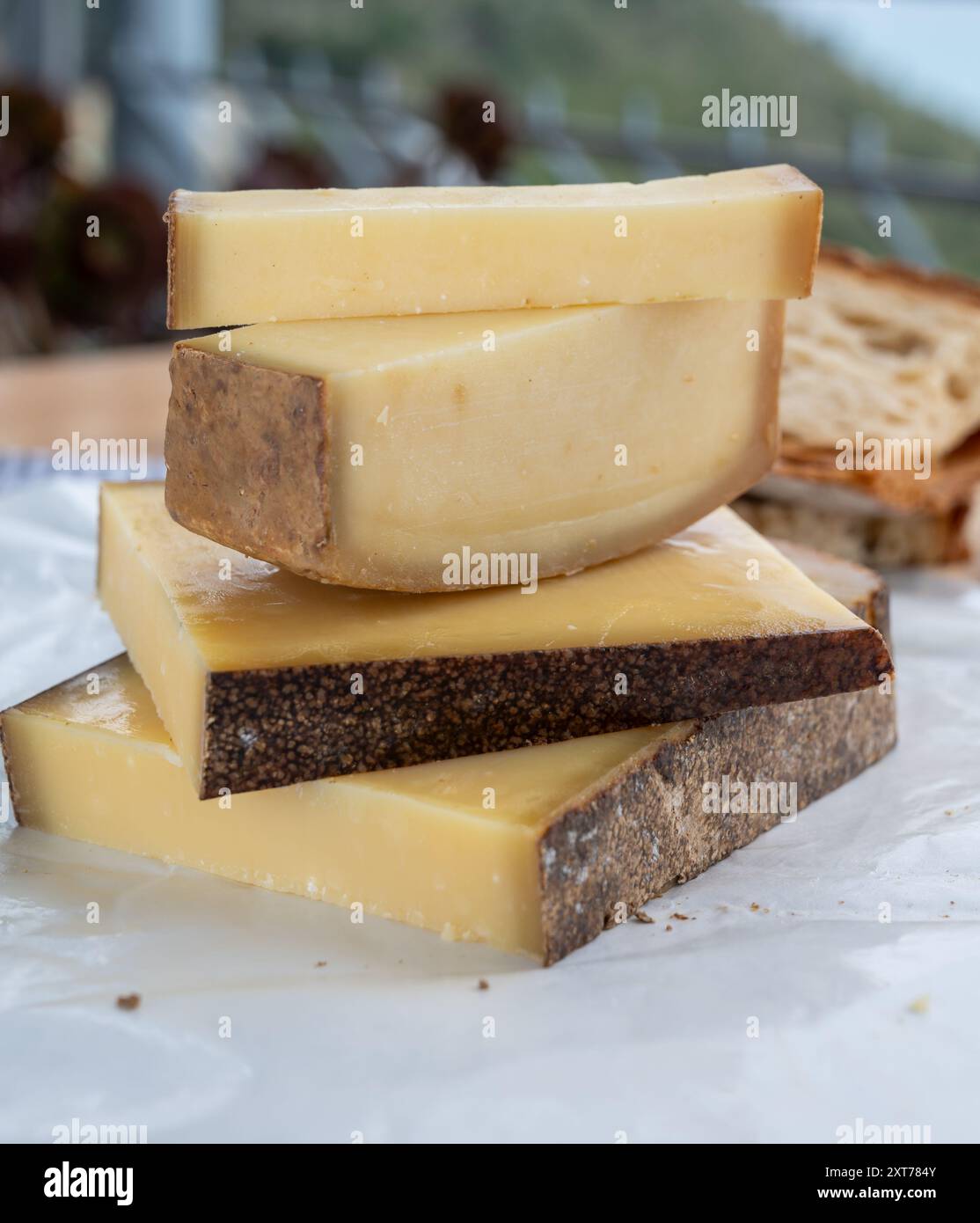 French aged in caves cheese Comte with brown rind, made from ...