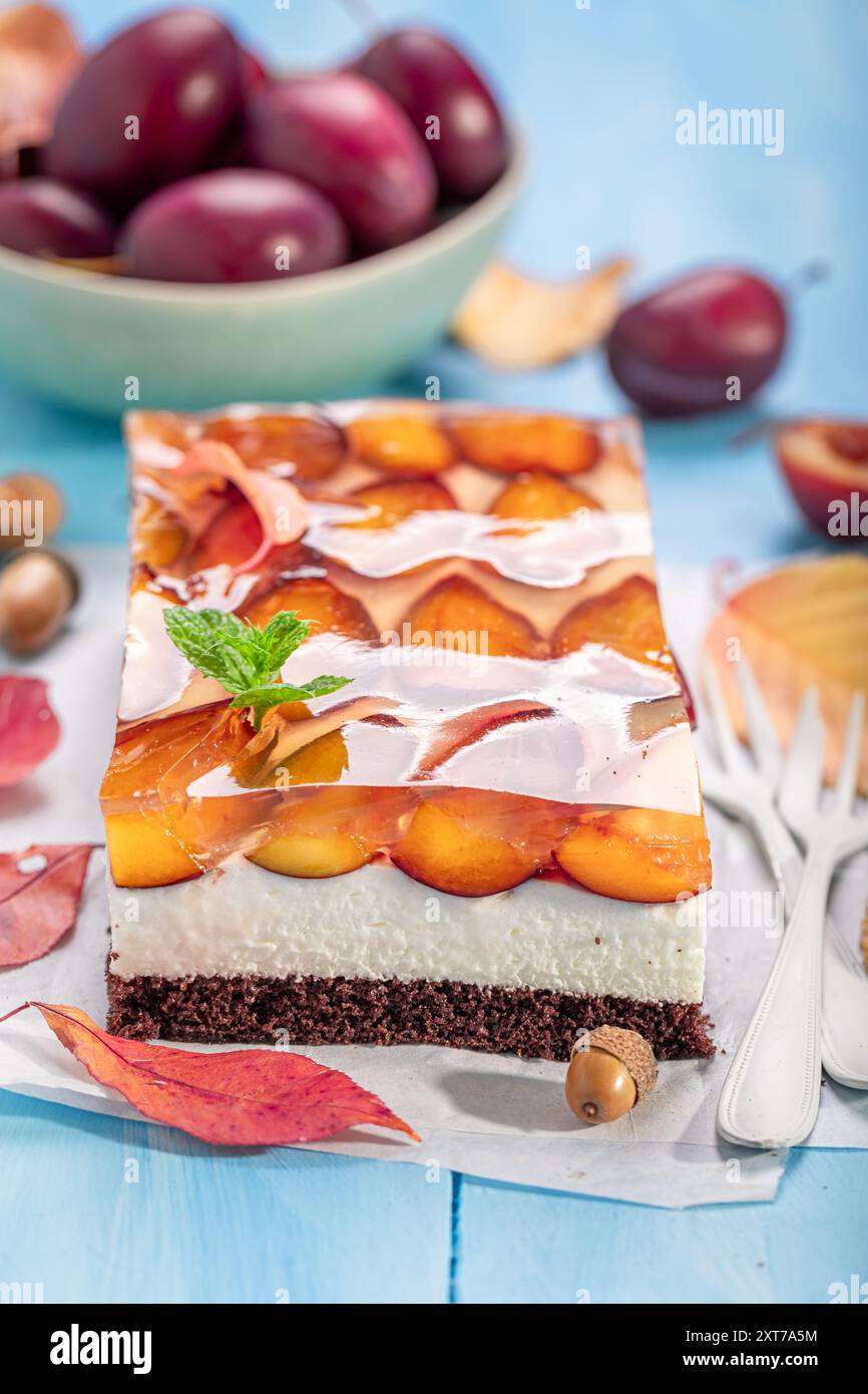 Creamy and fruity plum sponge cake made of cream, chocolate and fruits ...