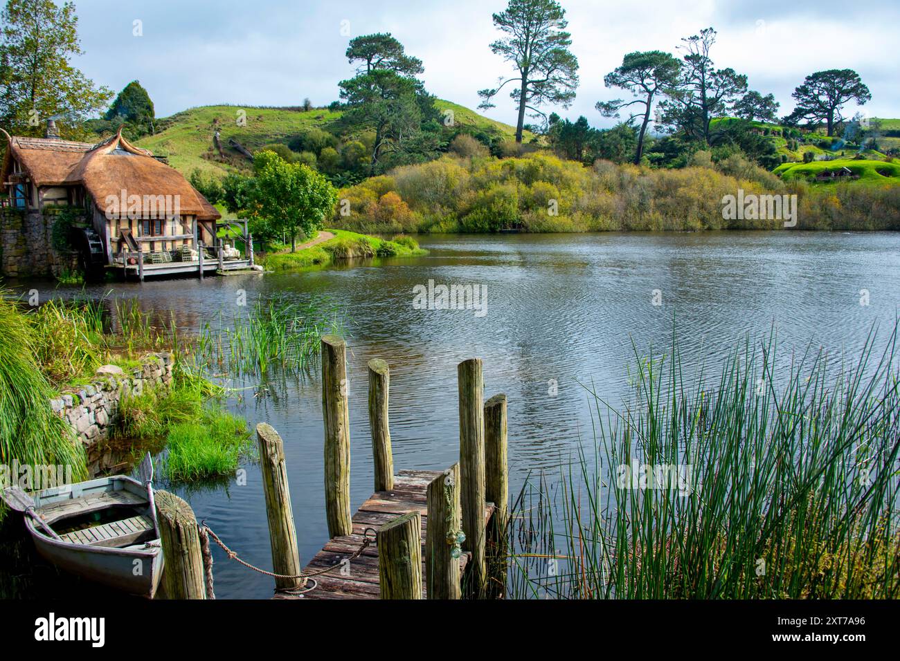 Matamata landscape hi-res stock photography and images - Alamy