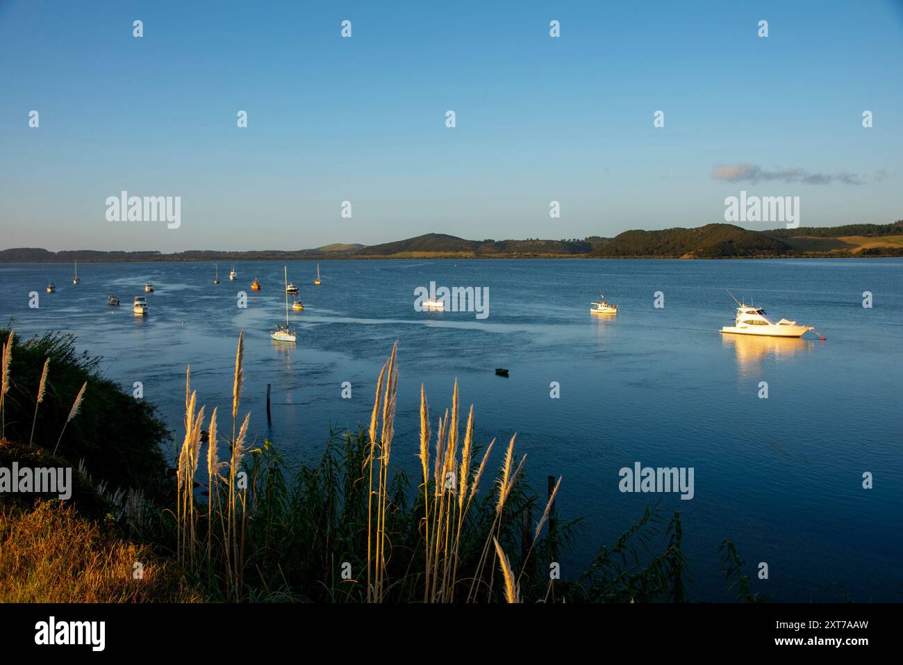 Houhora Harbour in Pukenui - New Zealand Stock Photo - Alamy