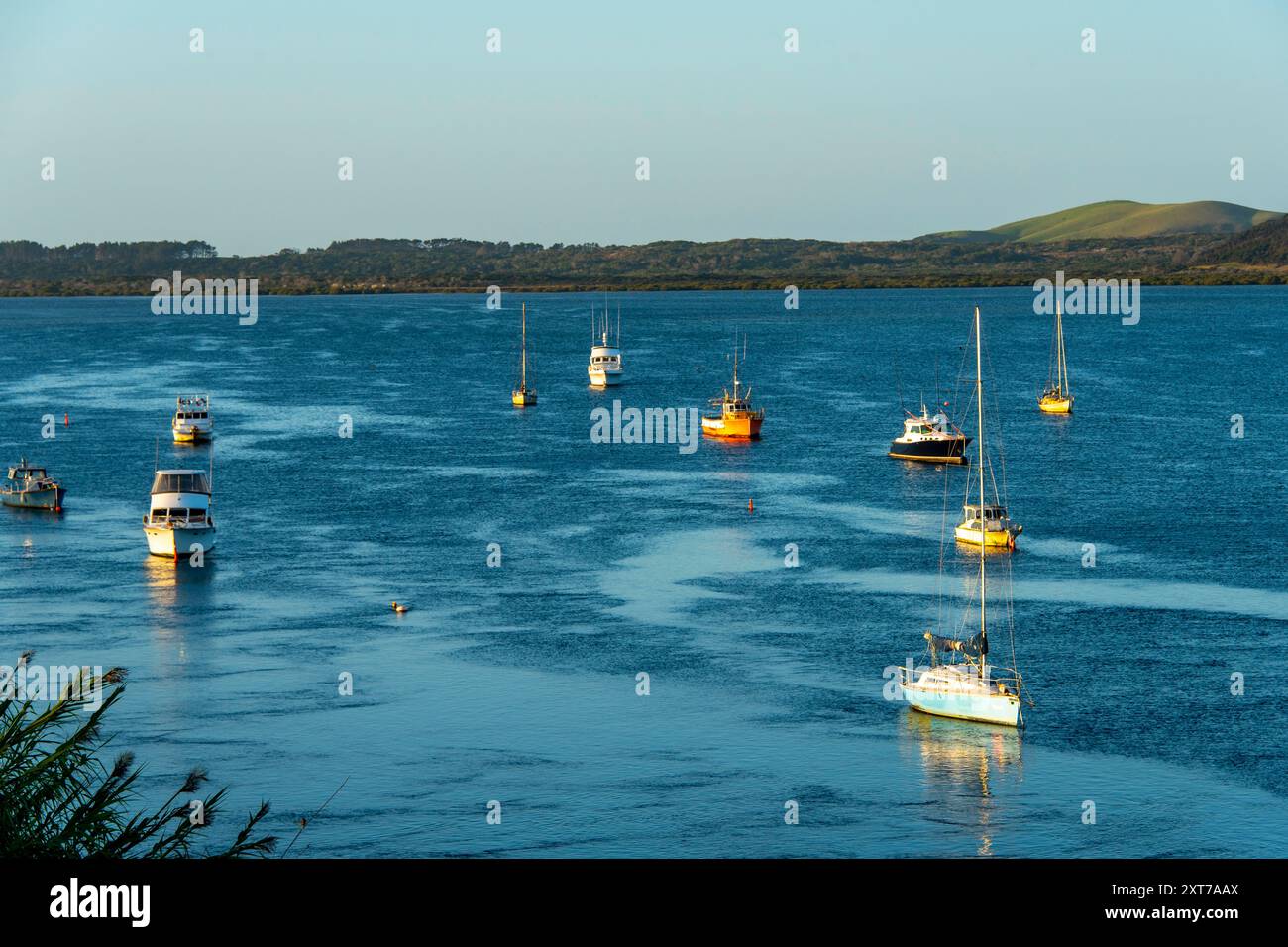 Houhora Harbour in Pukenui - New Zealand Stock Photo - Alamy