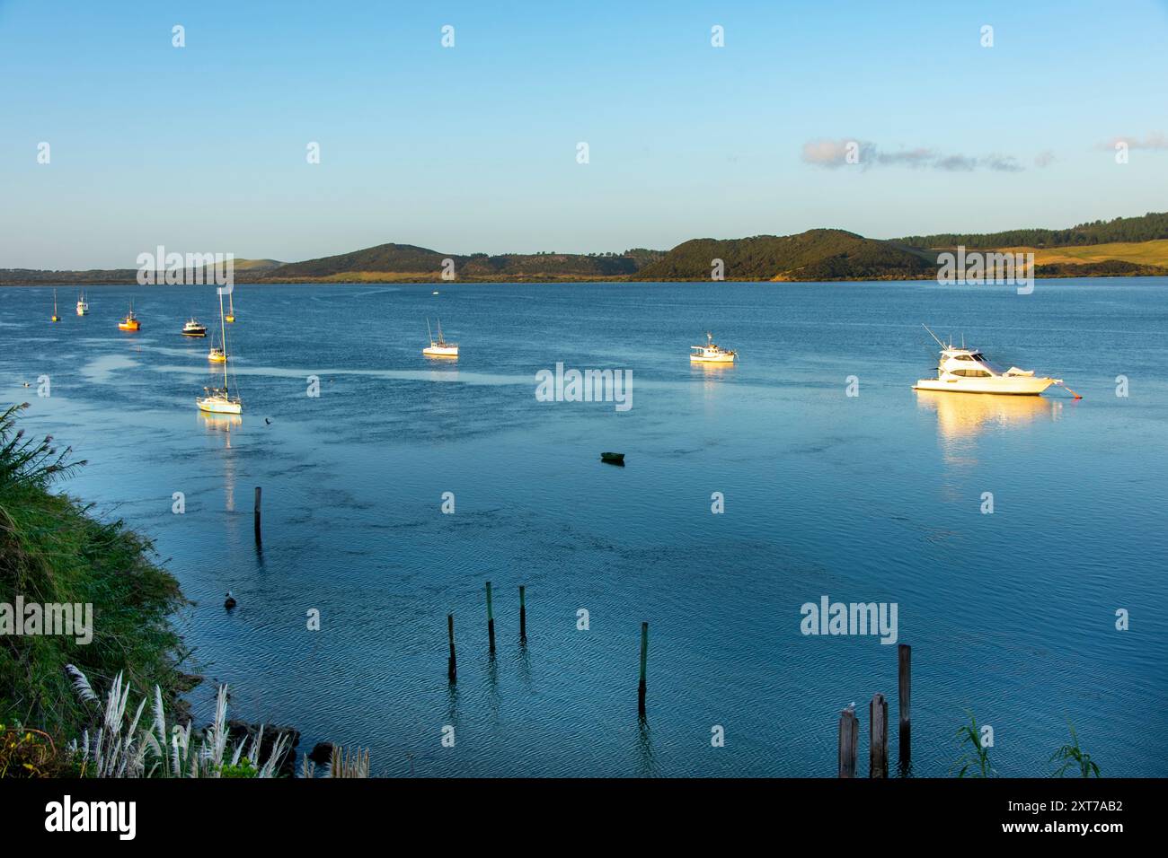 Houhora Harbour in Pukenui - New Zealand Stock Photo - Alamy