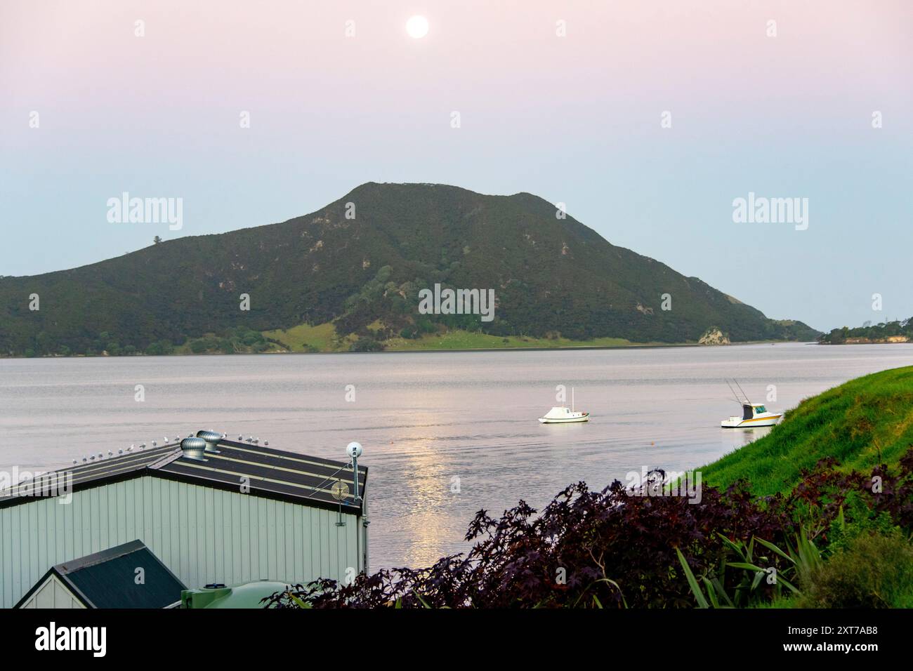 Houhora Harbour in Pukenui - New Zealand Stock Photo - Alamy