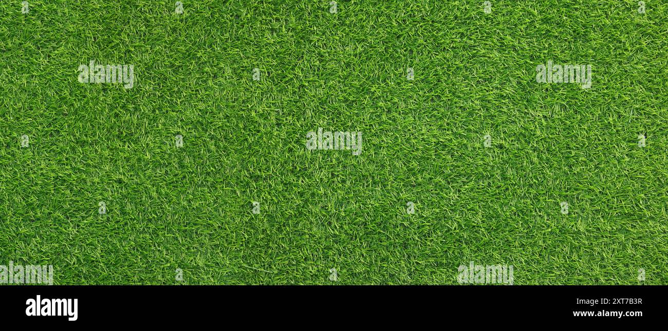 Green artificial grass as background, banner design Stock Photo - Alamy