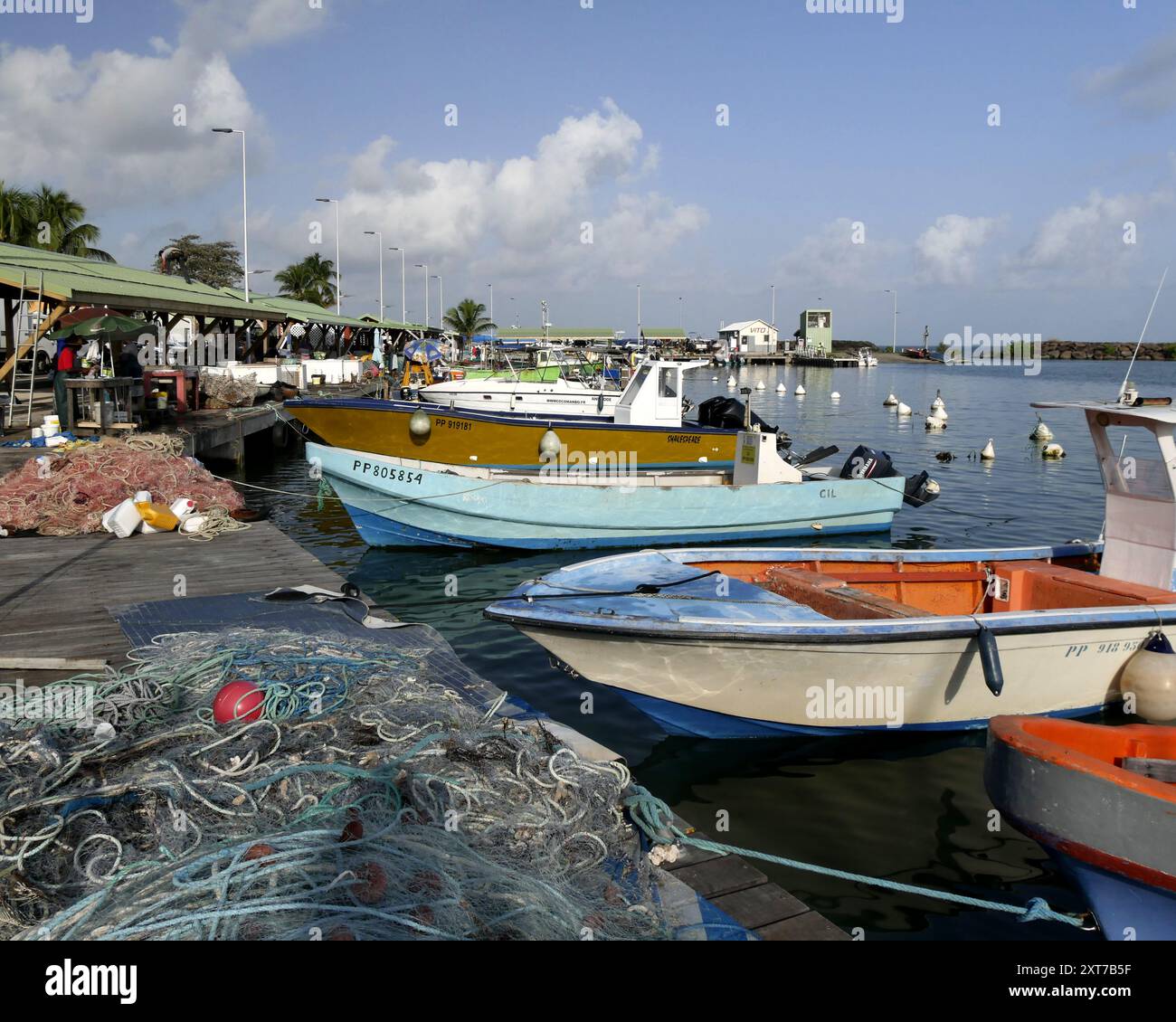 fishing port of sainte rose, guadeloupe in the morning with boats and ...