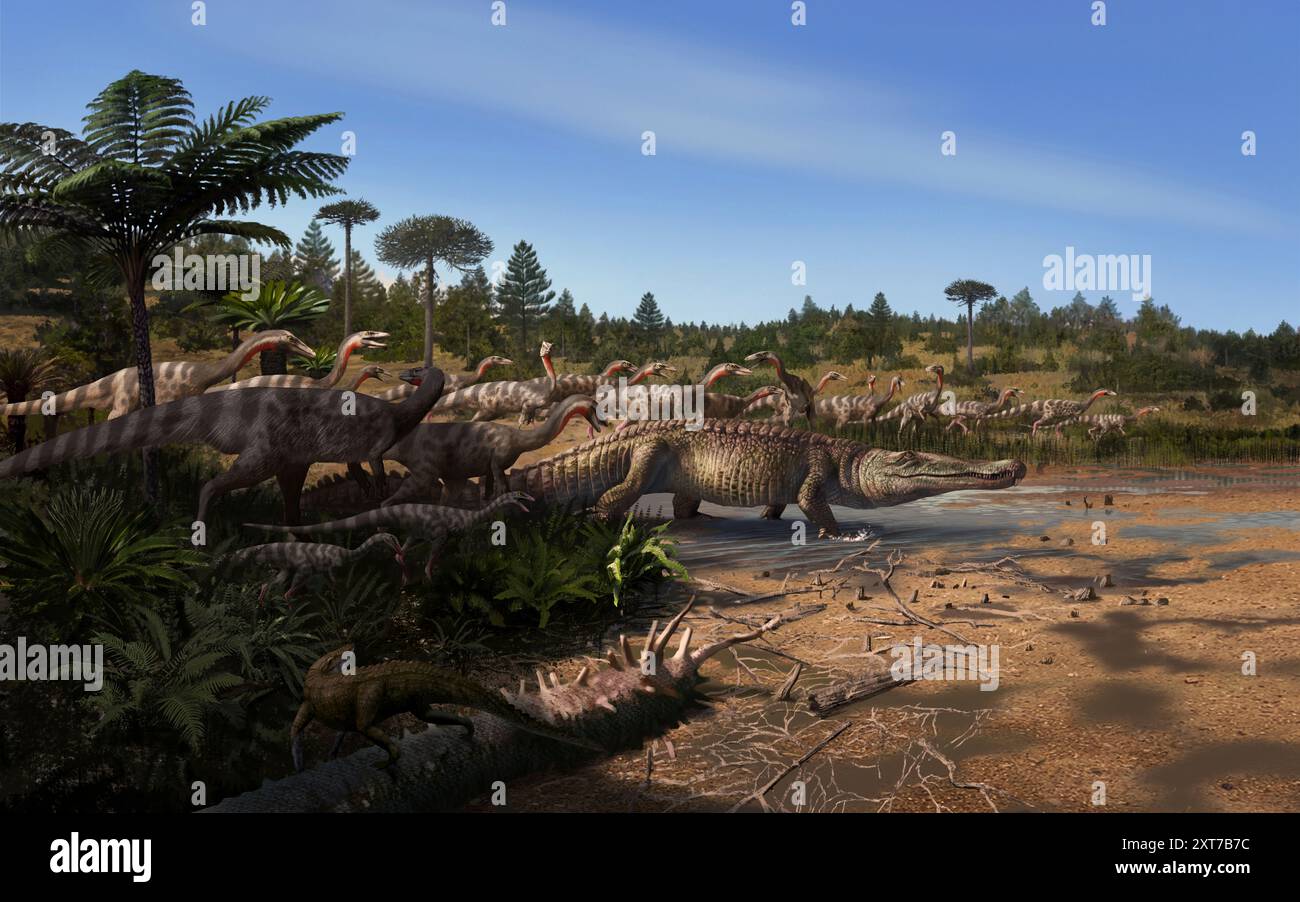 Illustration of a herd of Coelophysis sp. dinosaurs surrounding a ...