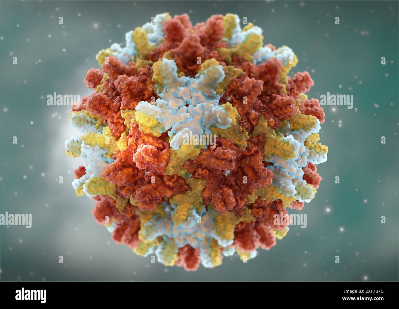 Illustration of a hepatitis B virus (HBV) particle. HBV can cause ...