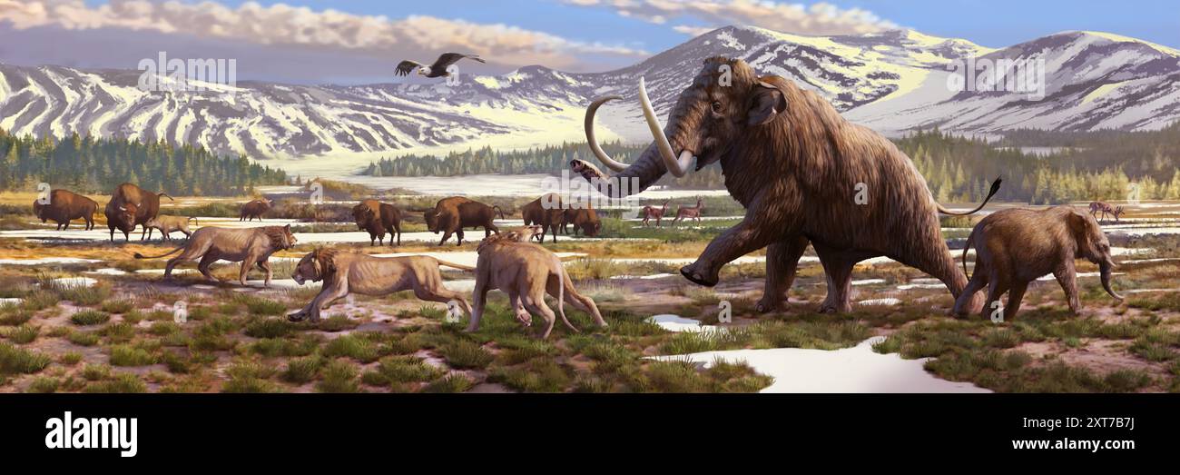 Illustration of fauna in North America during the Pleistocene (ice age ...