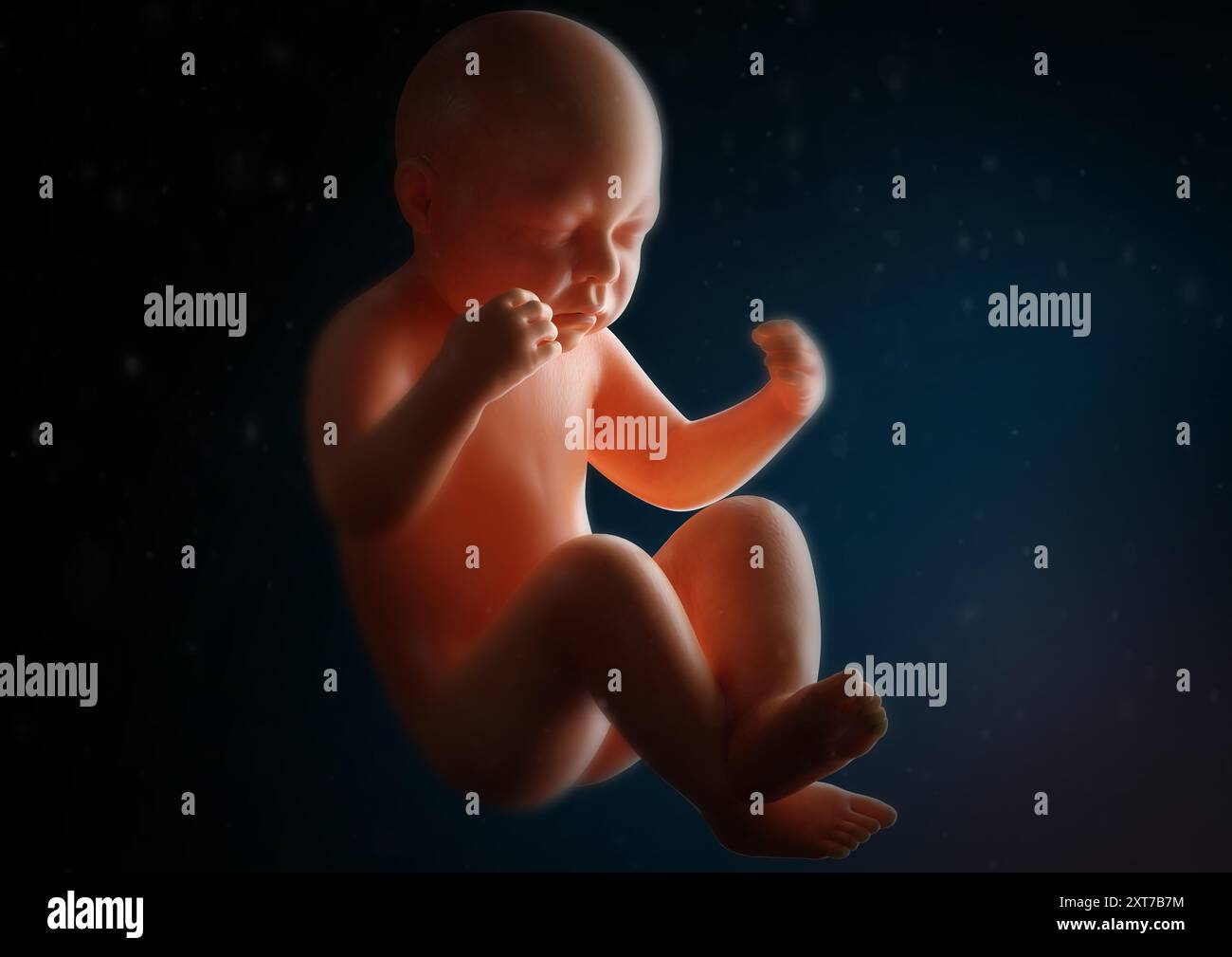 Illustration of a human newborn baby Stock Photo - Alamy