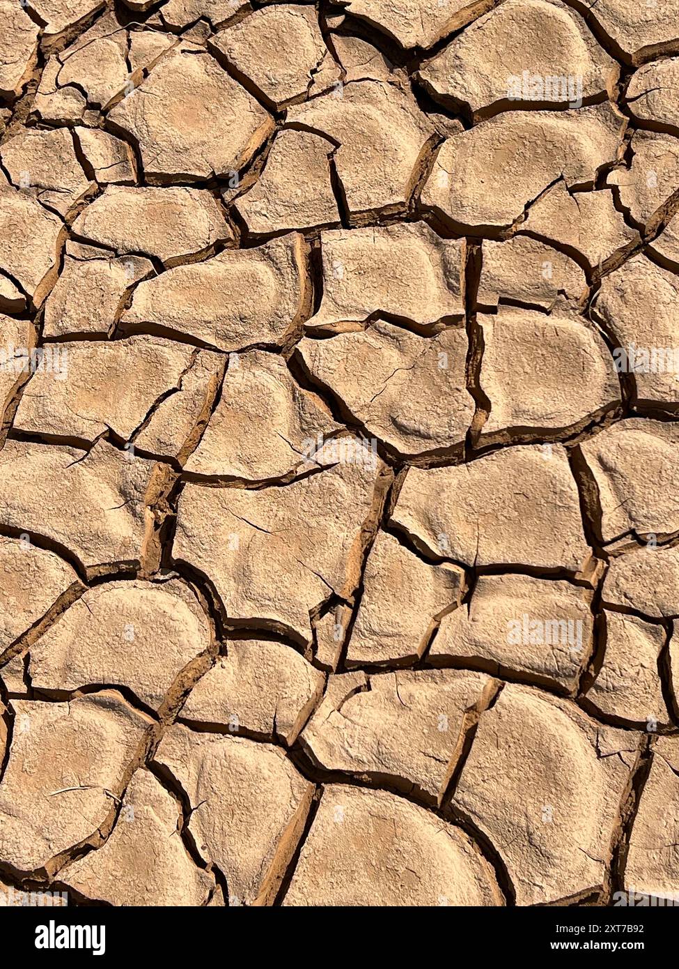 Parched earth, illustration Stock Photo - Alamy