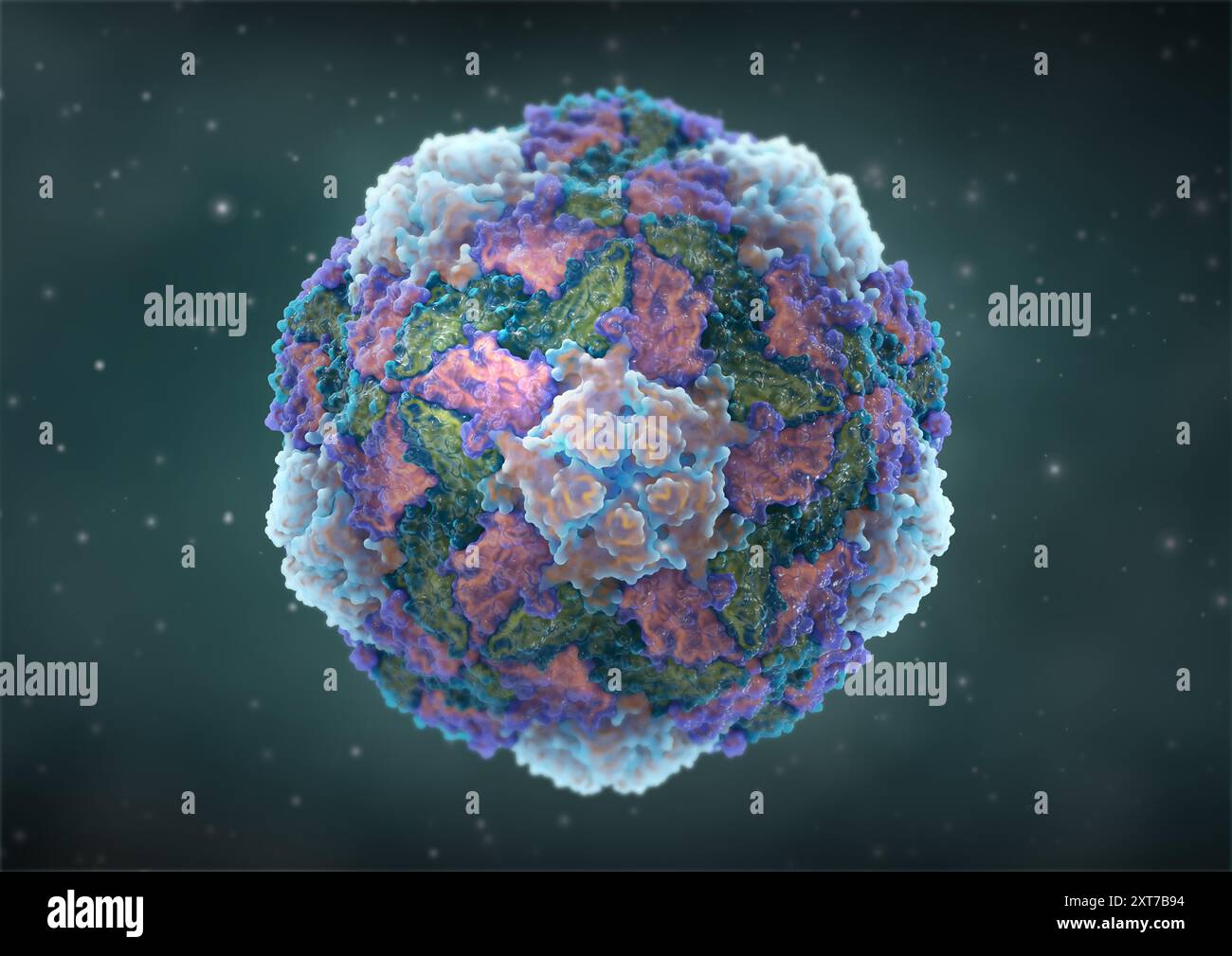 Illustration of a hepatitis A virus (HAV) particle. This virus causes ...