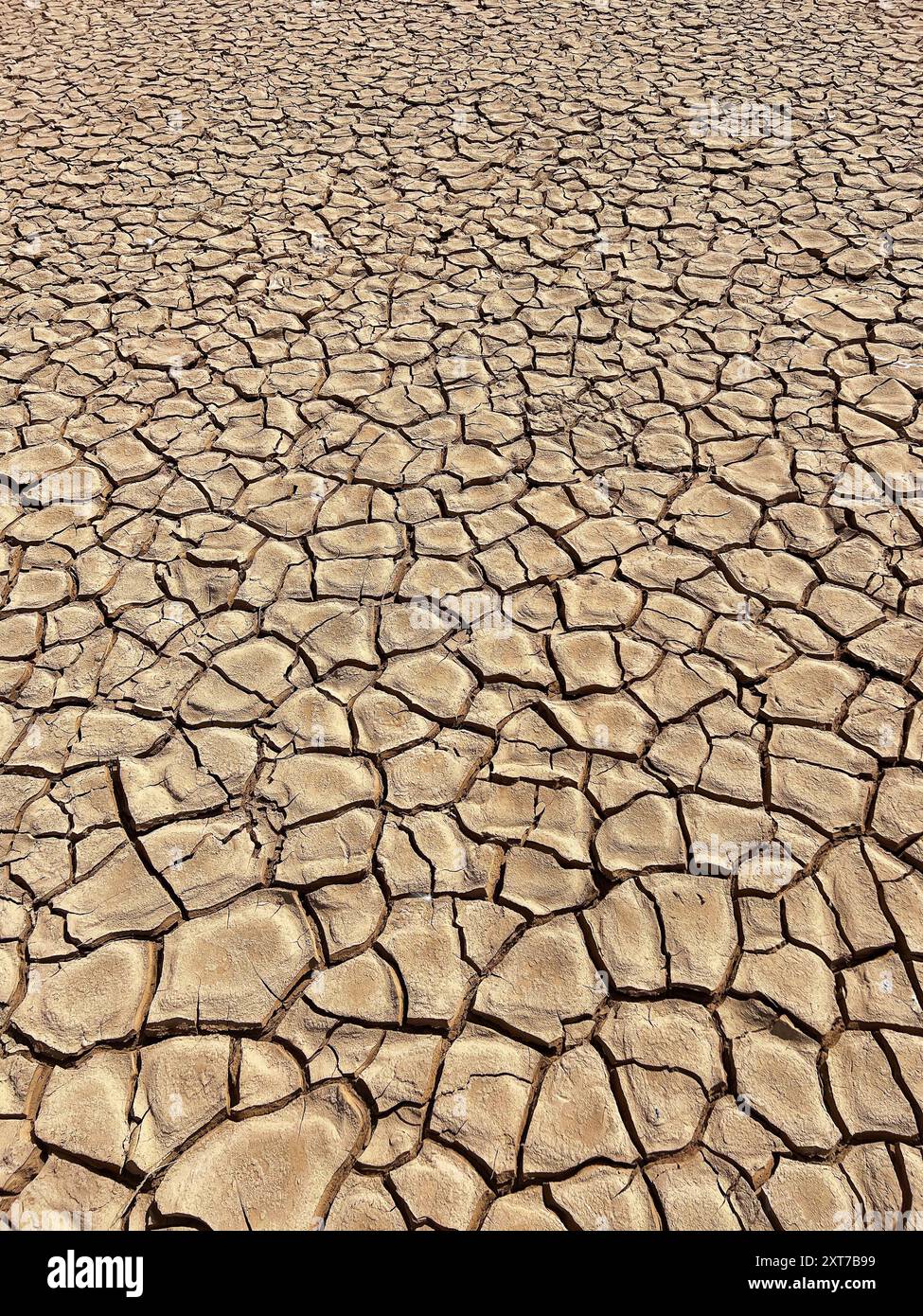 Parched earth, illustration Stock Photo - Alamy