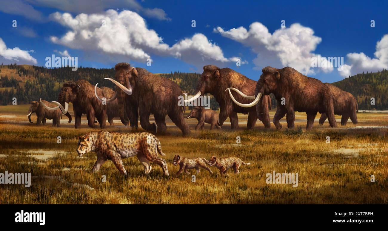 Illustration of a herd of woolly mammoth (Mammuthus primigenius) and a ...