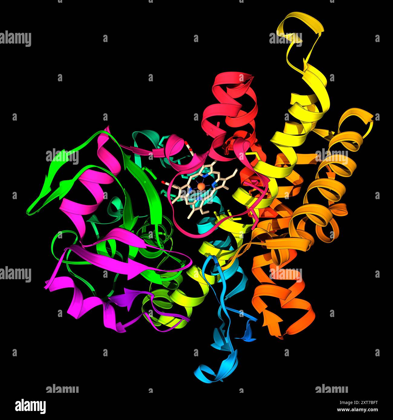 Molecular model of the monomeric Cytochrome P450 GymB1, an enzyme ...