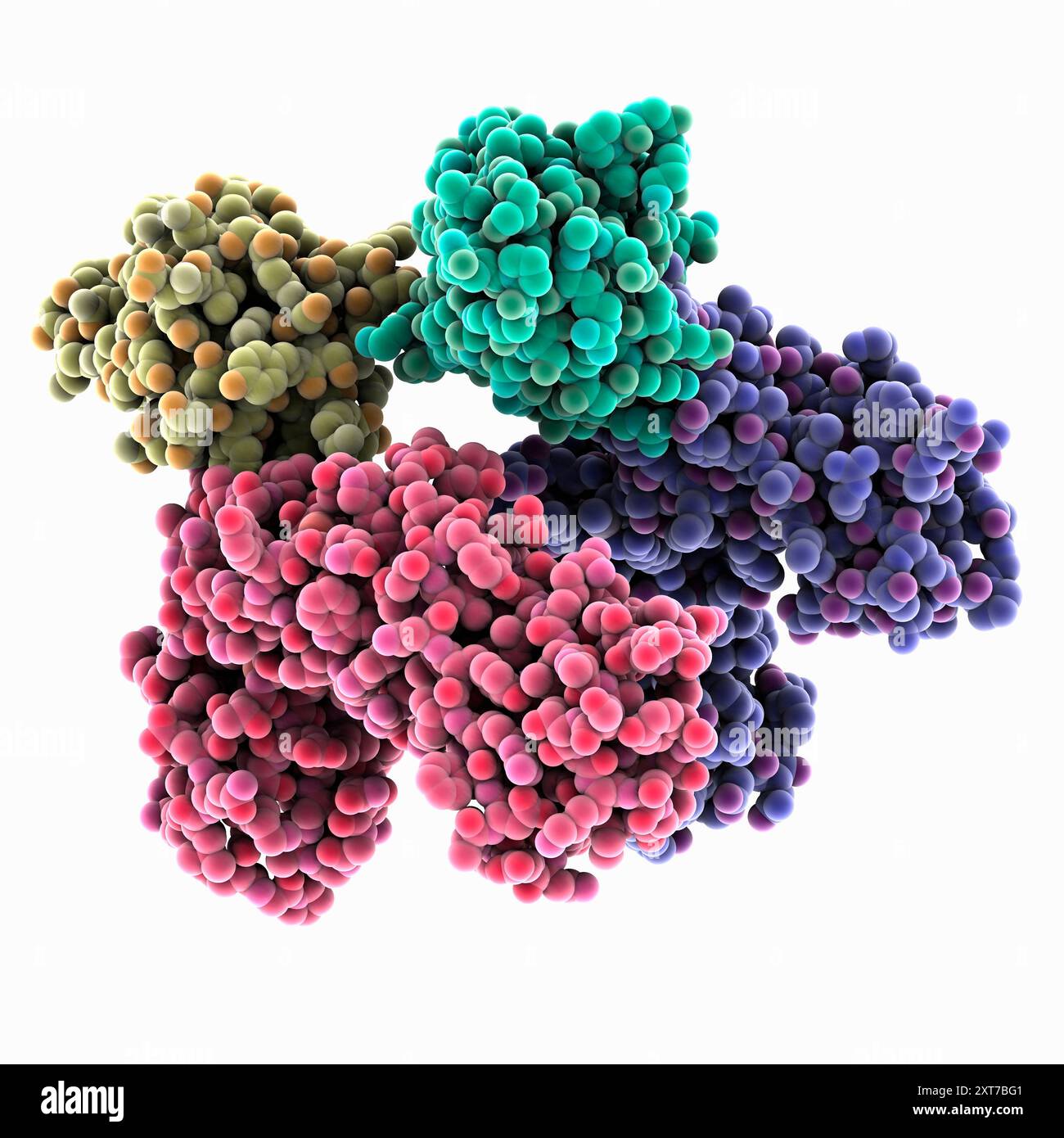 Molecular model of a human interleukin-4 receptor subunit alpha (red ...