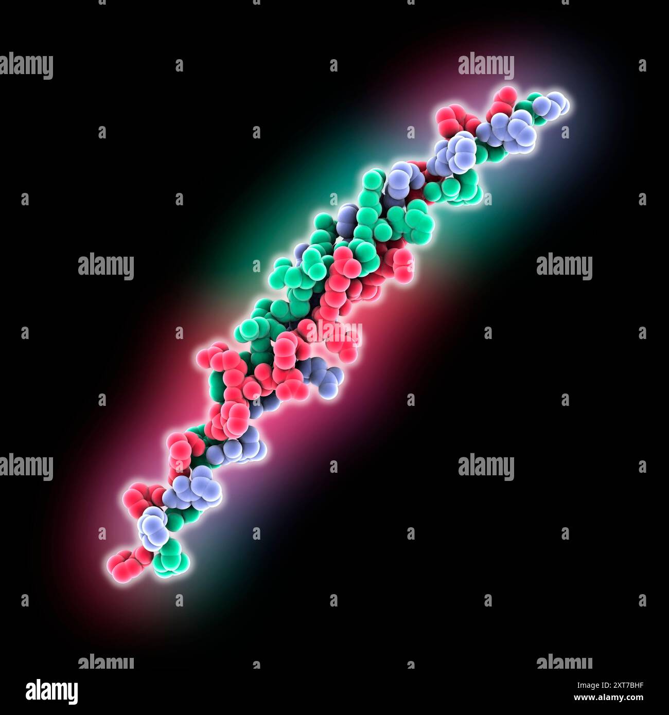 Molecular model of a triple-helix region of human collagen type VII ...