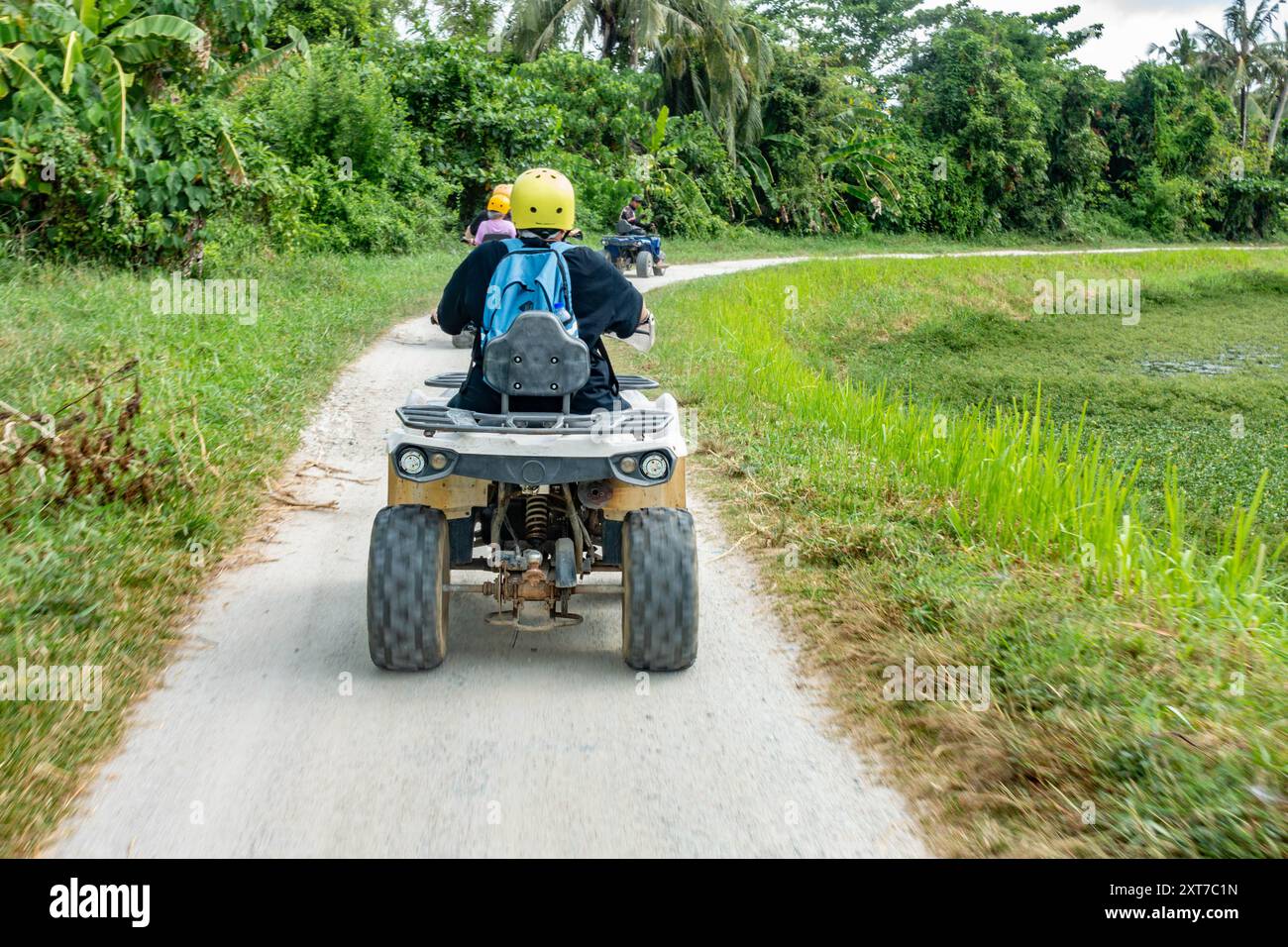 Riding quad bikes down a path past paddy fields in Balik Pulau, Penang ...