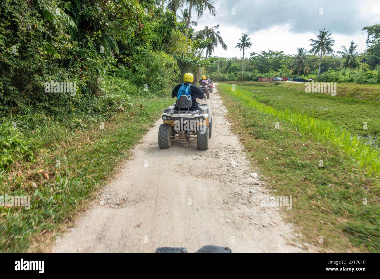 Riding quad bikes down a path past paddy fields in Balik Pulau, Penang ...
