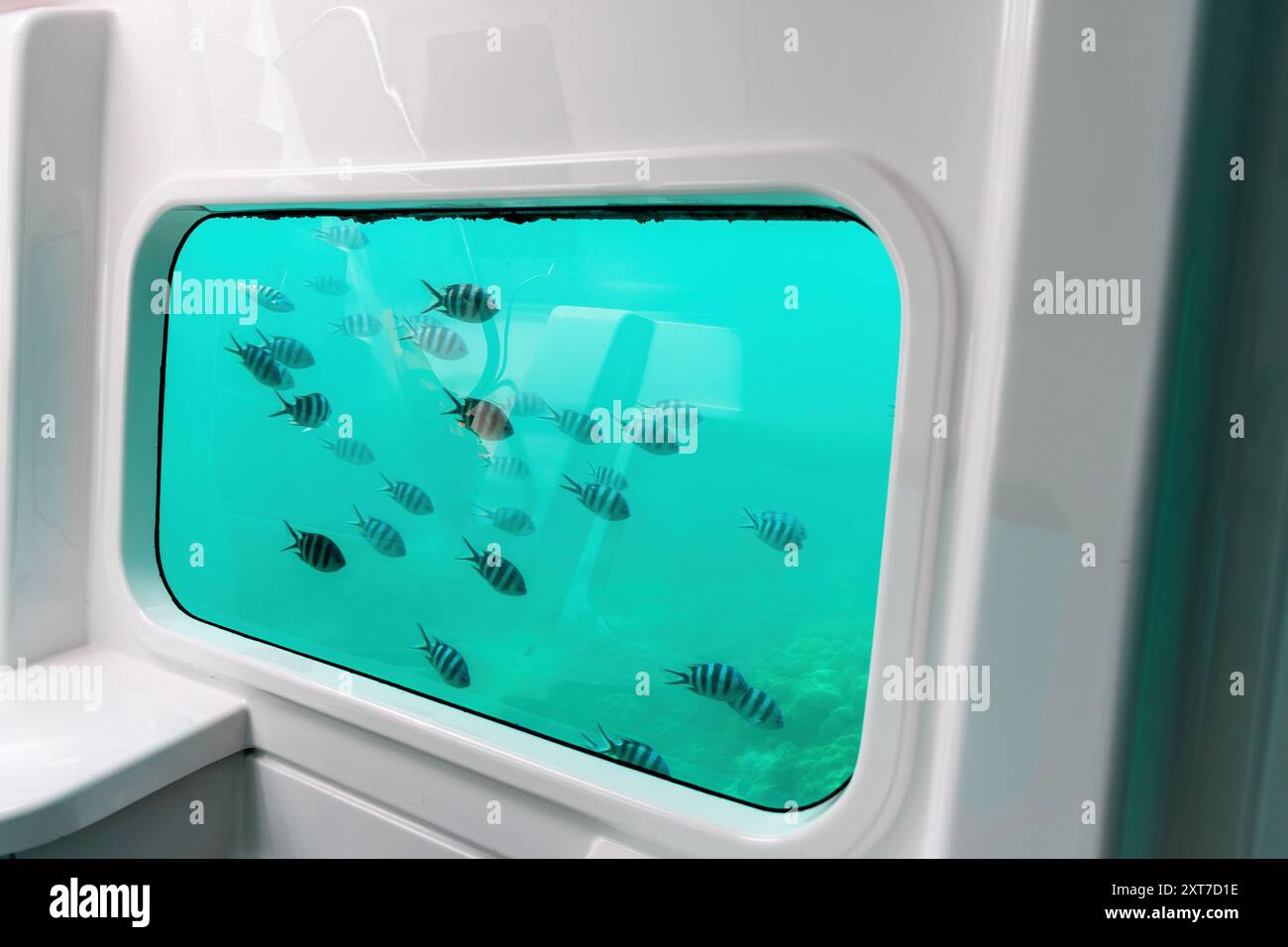 A view of fish swimming in the clear blue water seen through a porthole ...