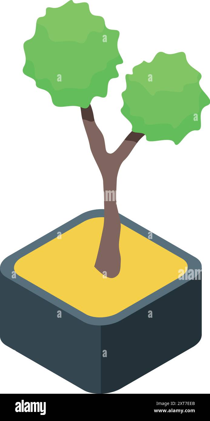 Isometric view of a small bonsai tree growing in a square pot Stock ...