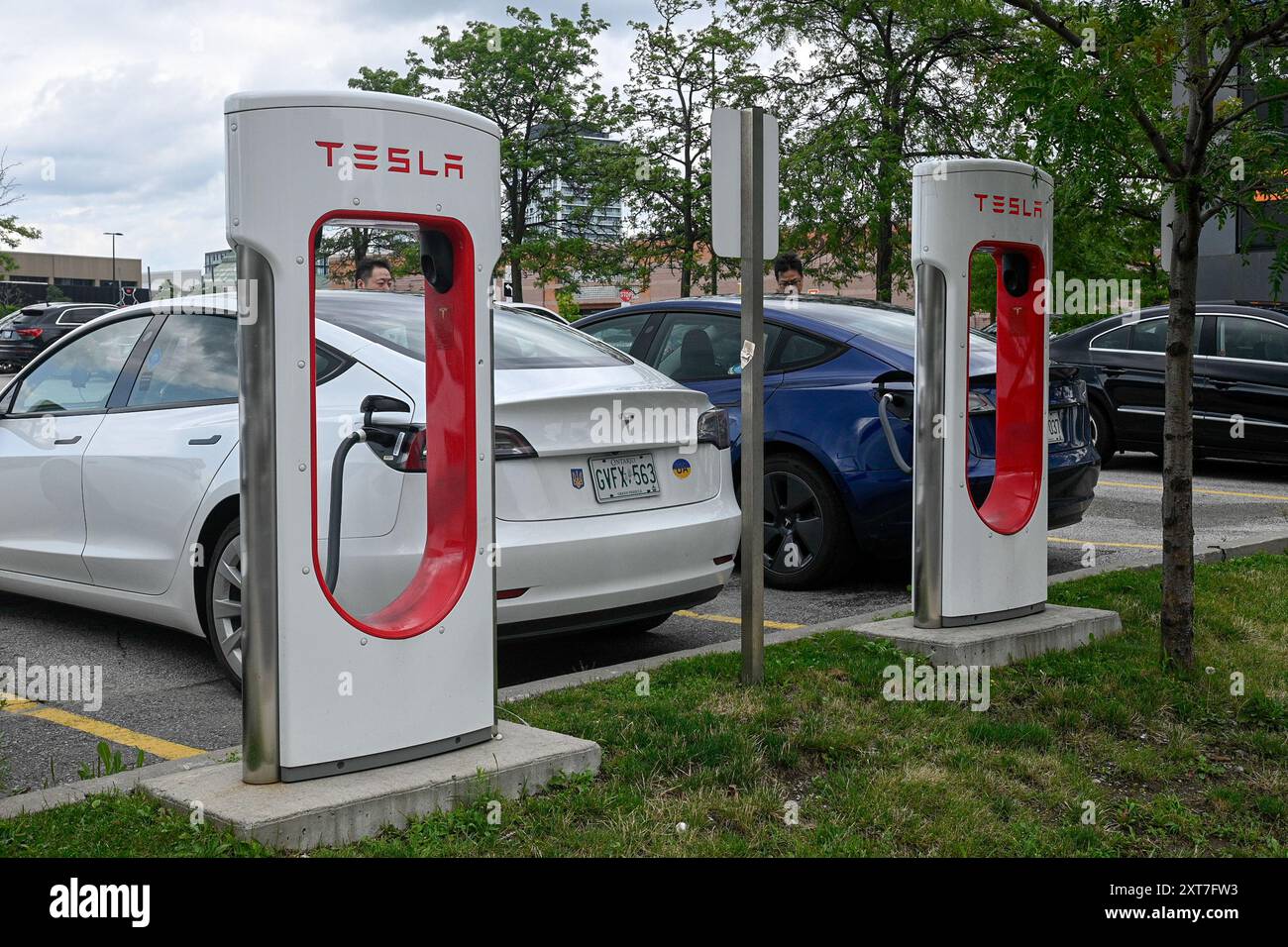 Toronto, ON, Canada – August 1, 2024: View at the logo of Tesla company ...