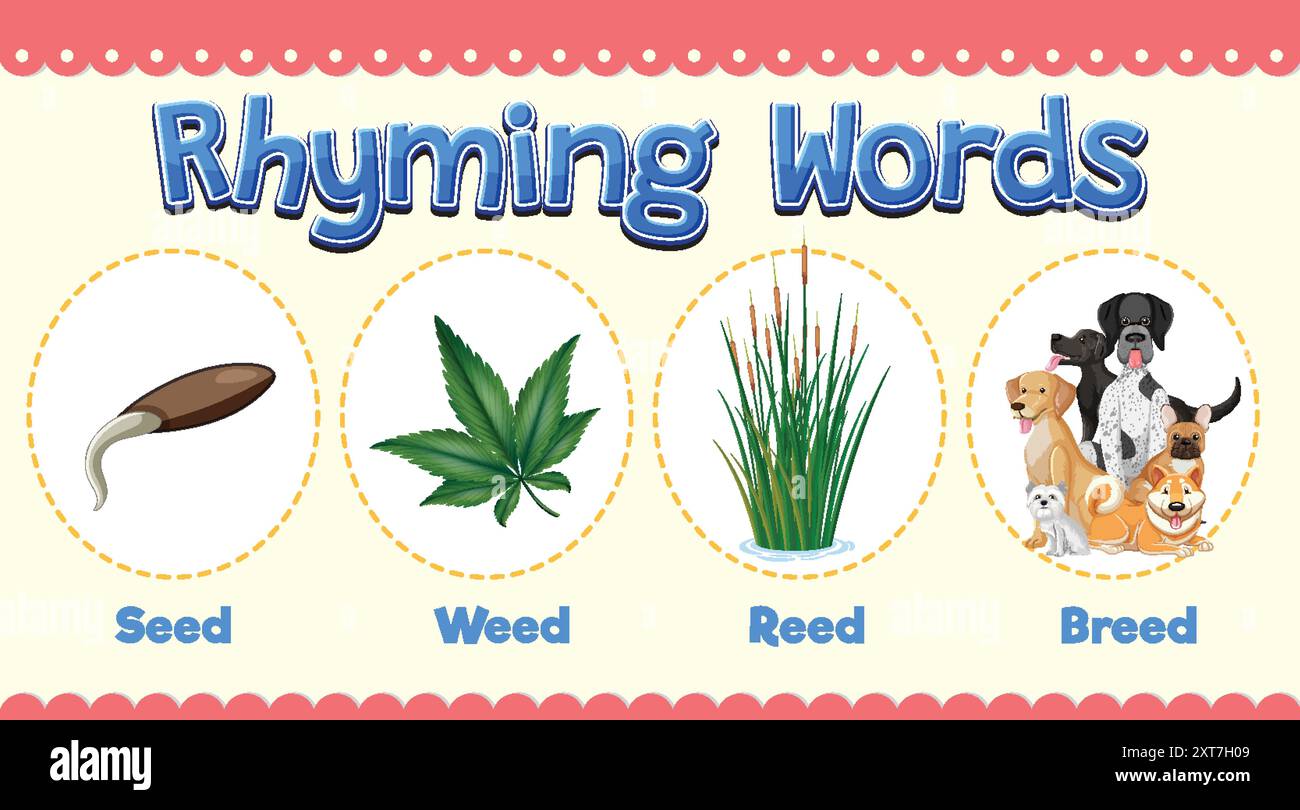 Seed, weed, reed, and breed rhyming words Stock Vector Image & Art - Alamy