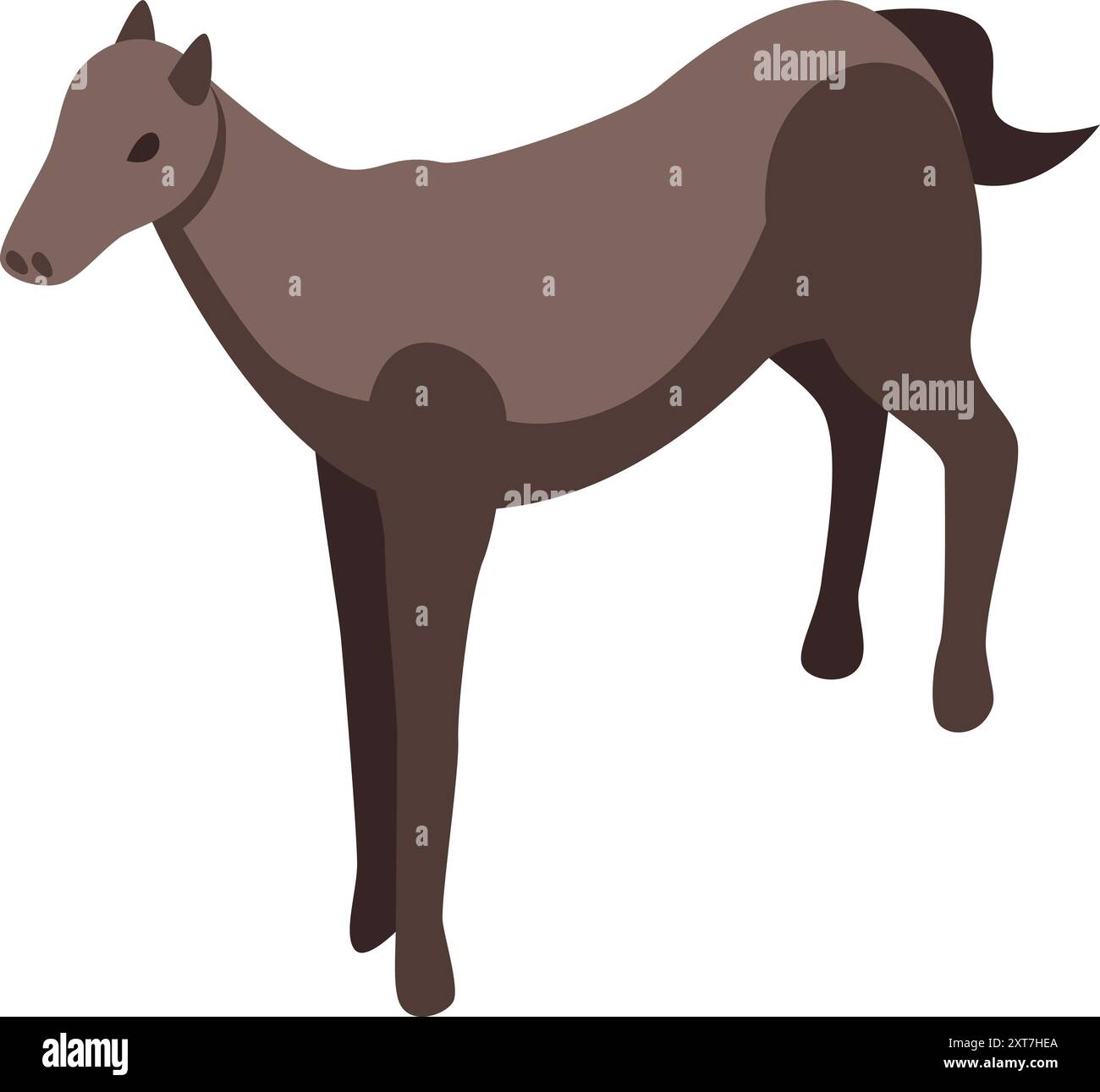 Brown horse standing isometric view isolated on white background for ...