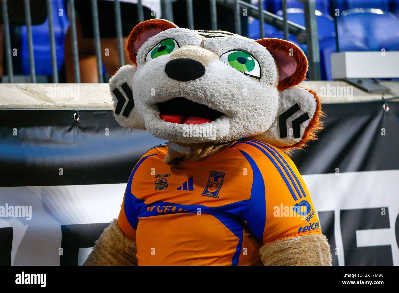 New York, United States. 13th Aug, 2024. Mascot of Tigres during the ...