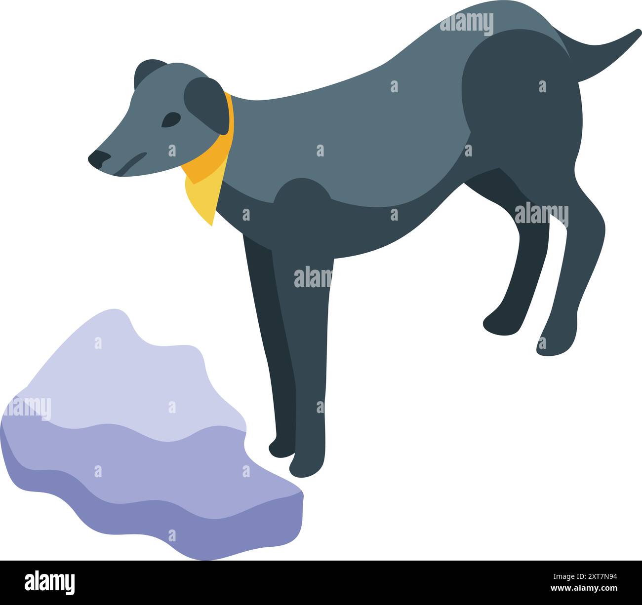 Rescue dog working on a rubble of stones and concrete, searching for ...