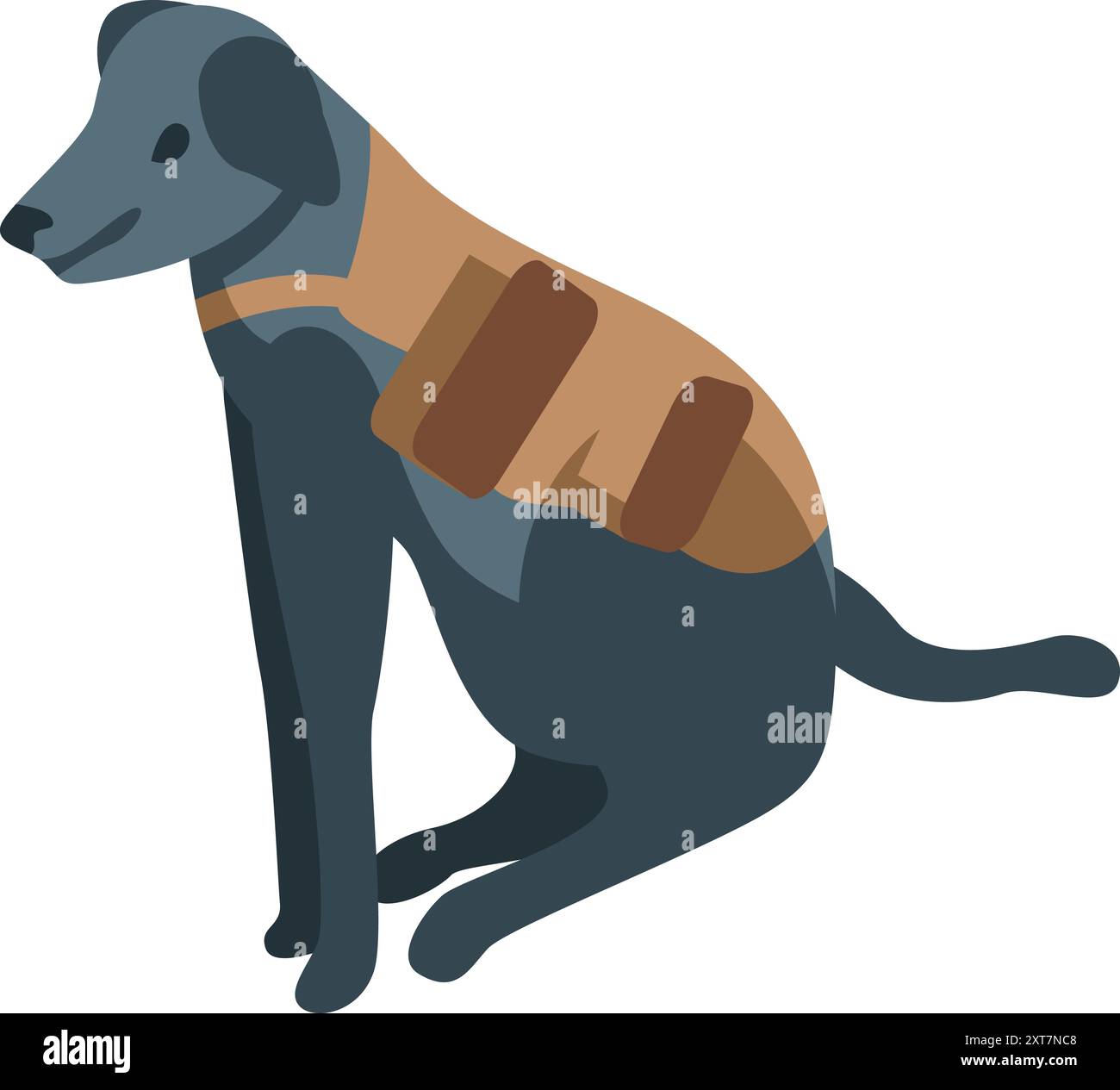 Canine handler search rescue Stock Vector Images - Alamy