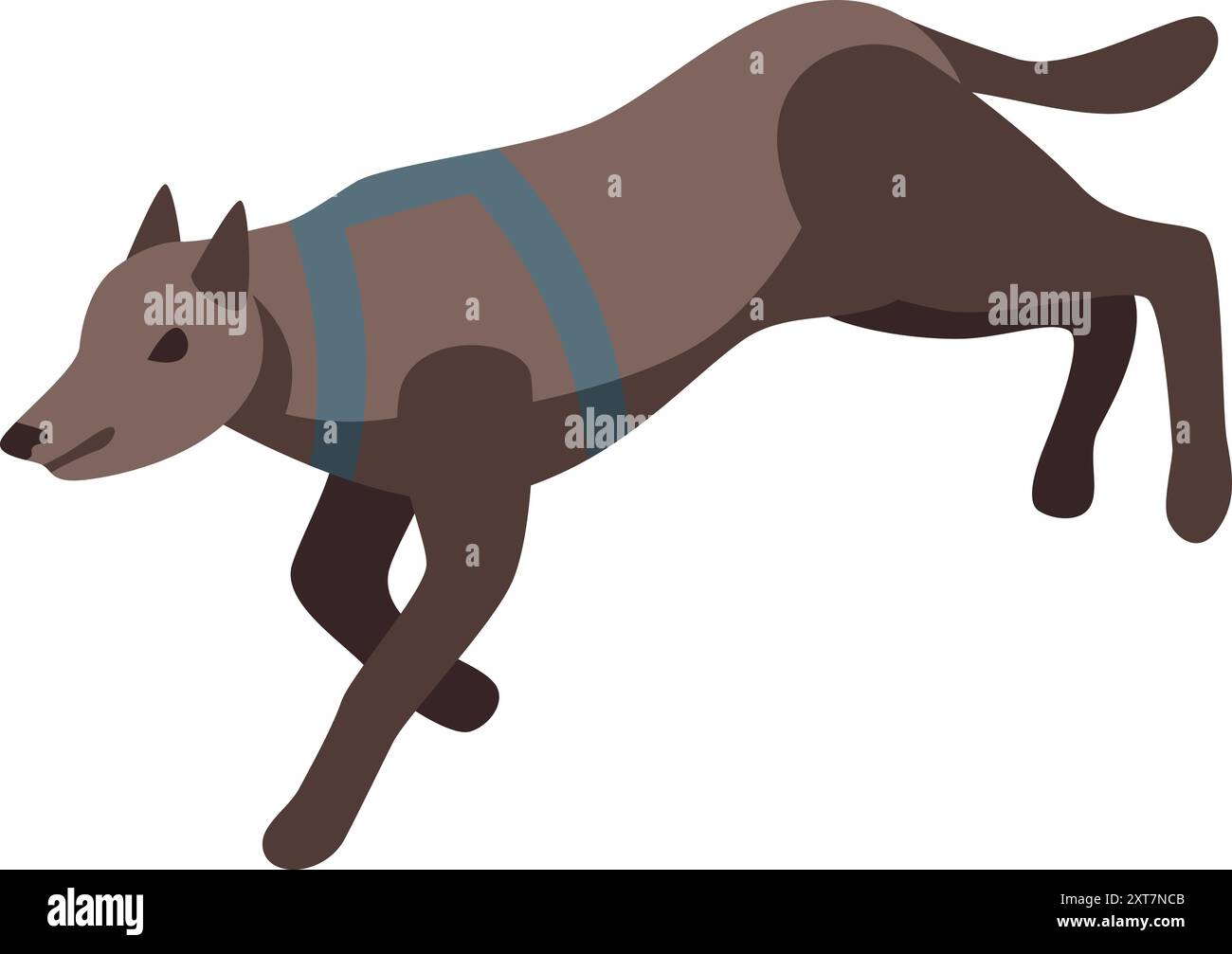 Brown search and rescue dog running and searching for missing people ...