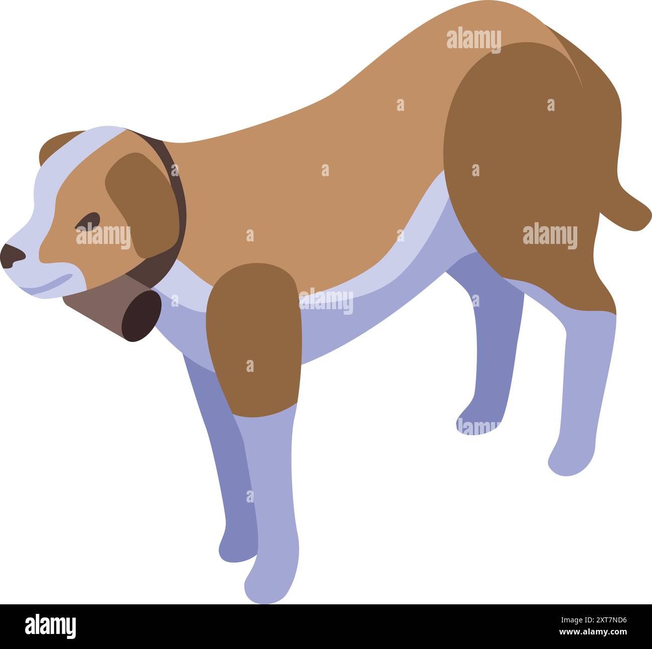 Hunting dog in field Cut Out Stock Images & Pictures - Alamy