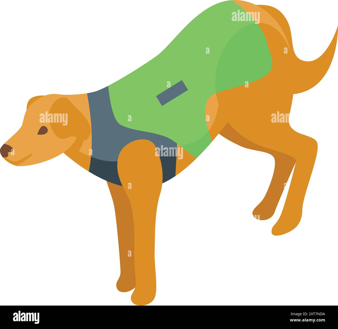 Search and rescue dog wearing a green vest is sniffing the ground Stock ...