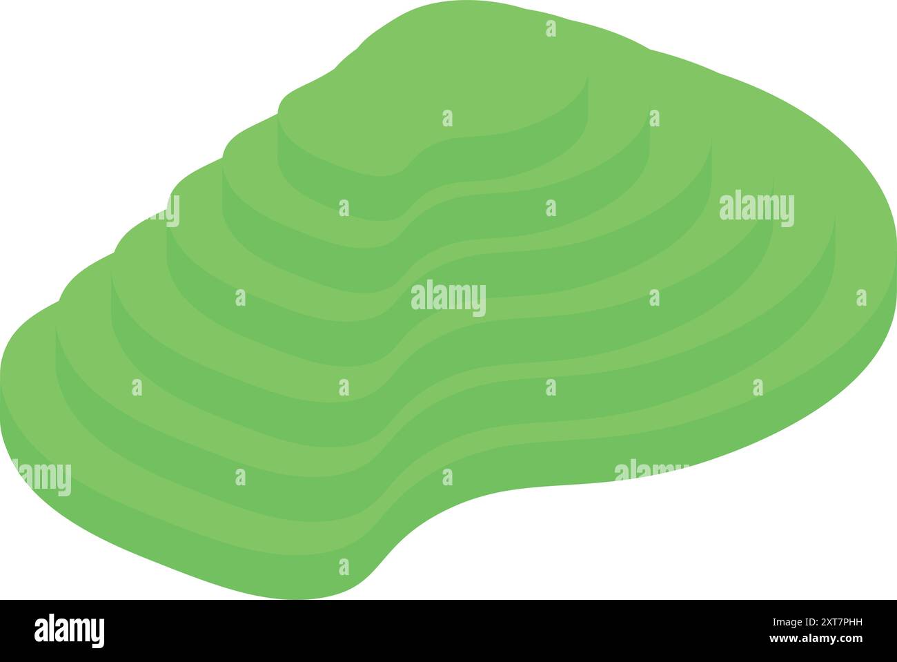 Isometric style illustration of a green rice field plantation growing ...