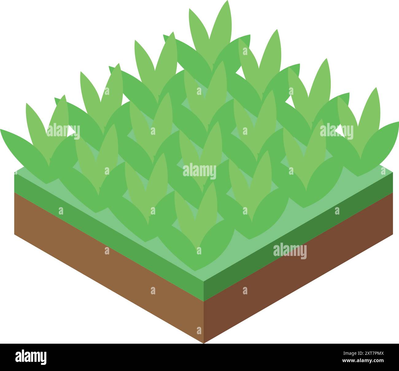 Green backyard garden view in Stock Vector Images - Alamy