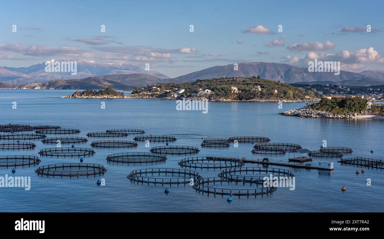 Fish Farm on Sea, Hatchery Fishing, Greece Aquaculture, Marine Fish ...