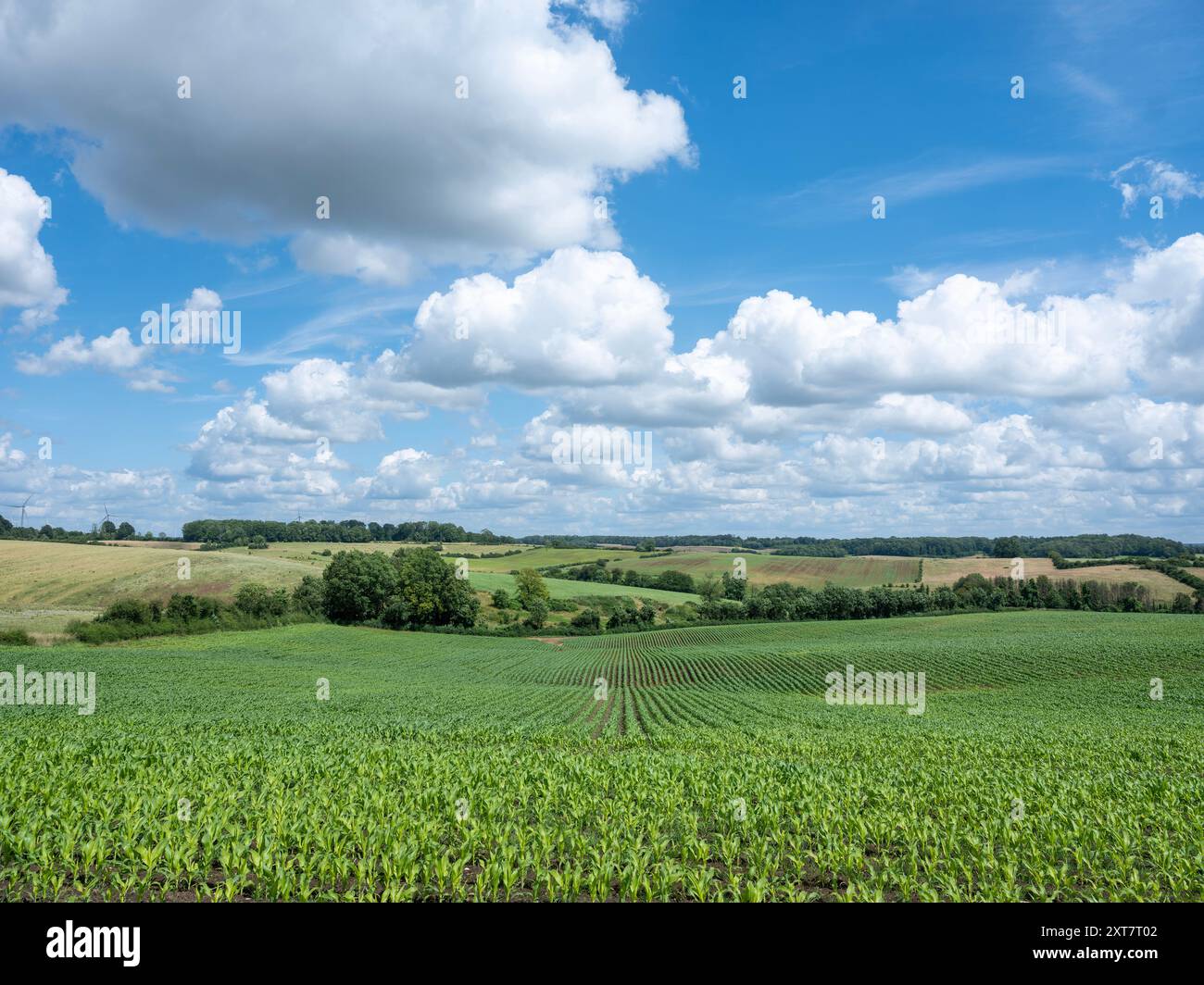blue sky and clouds over cornfield in rural countryside of french ...
