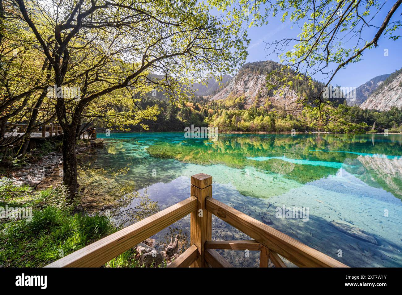 Five Flower Lake in Jiuzhai Valley National Park, Sichuan, China Stock ...