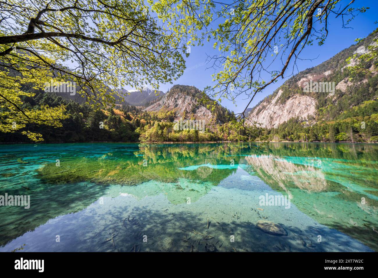 Five Flower Lake in Jiuzhai Valley National Park, Sichuan, China Stock ...
