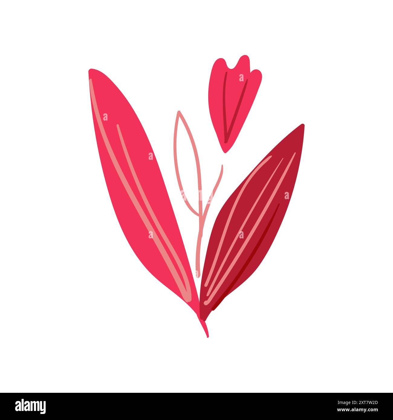Hand drawn red stylized tulip with red leaves. Simple plant design ...