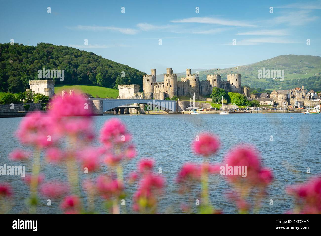 Conwy Castle in Spring - North Wales, UK Stock Photo - Alamy