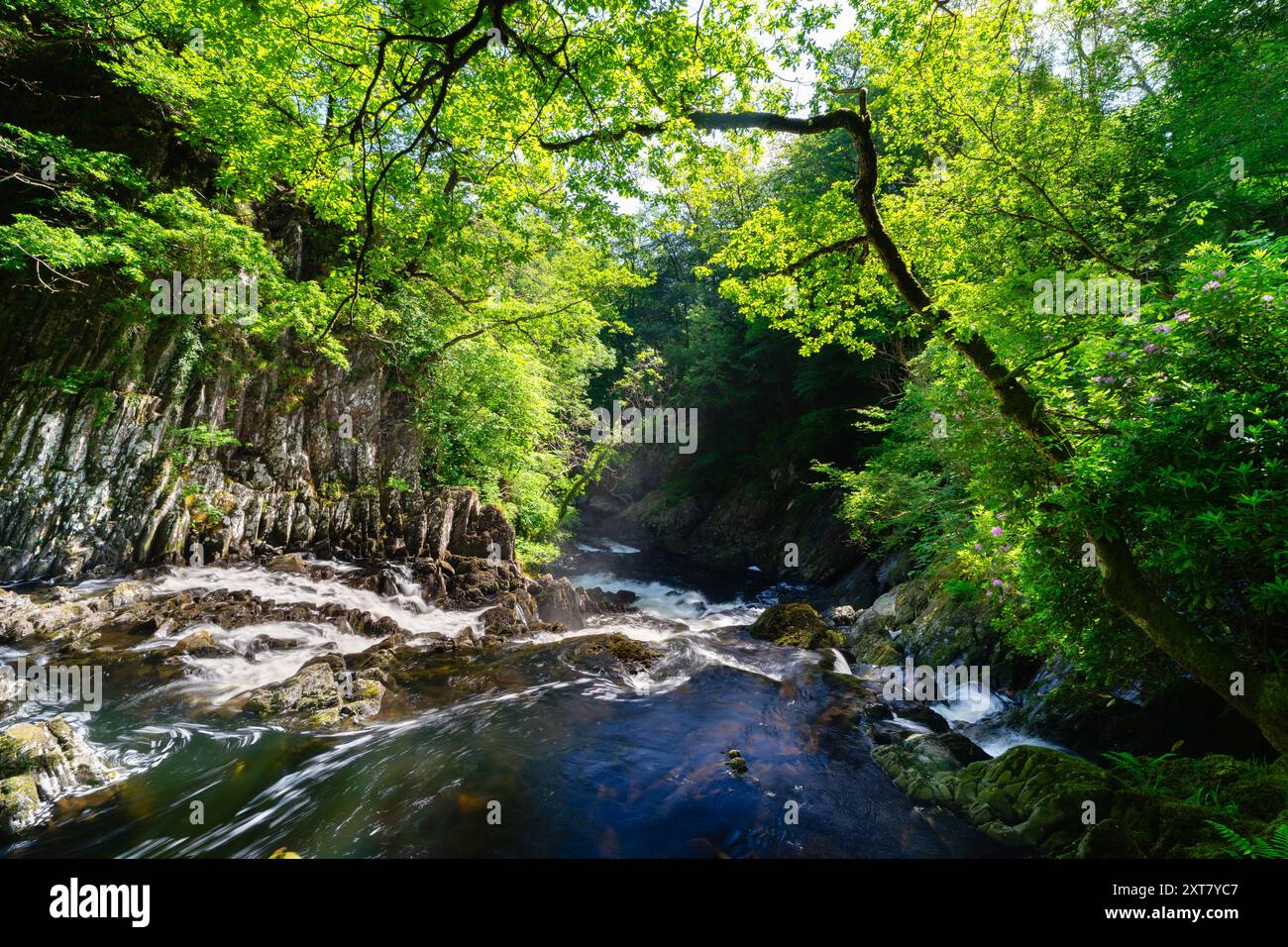 Swallow waterfall hi-res stock photography and images - Alamy