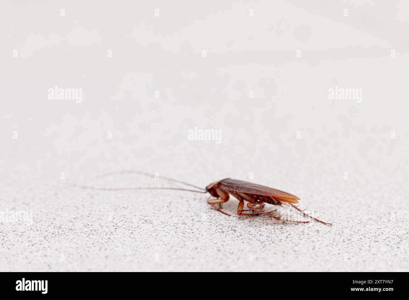 Detailed study on management hi-res stock photography and images - Alamy
