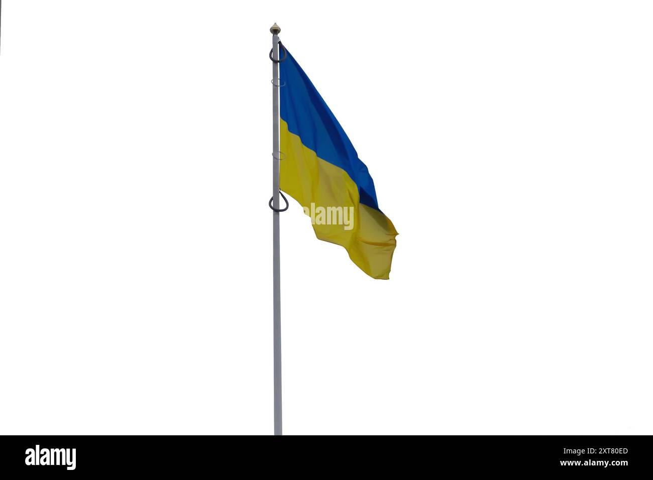 Ukraine flag, Ukrainian national flag isolated on white background ...