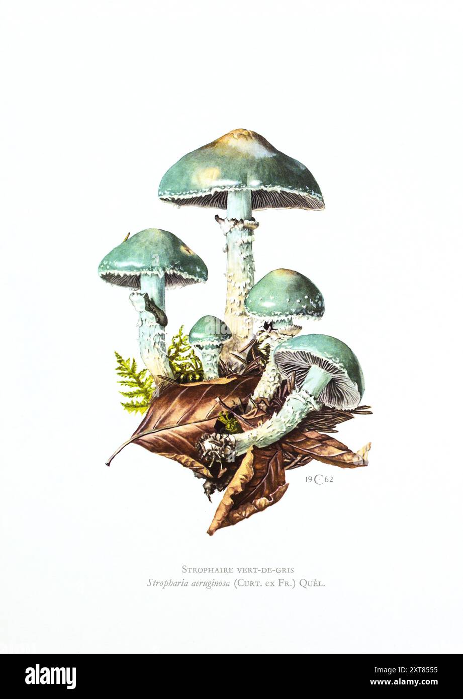 Illustration by Claus Caspari from the "Collection de Documents d ...