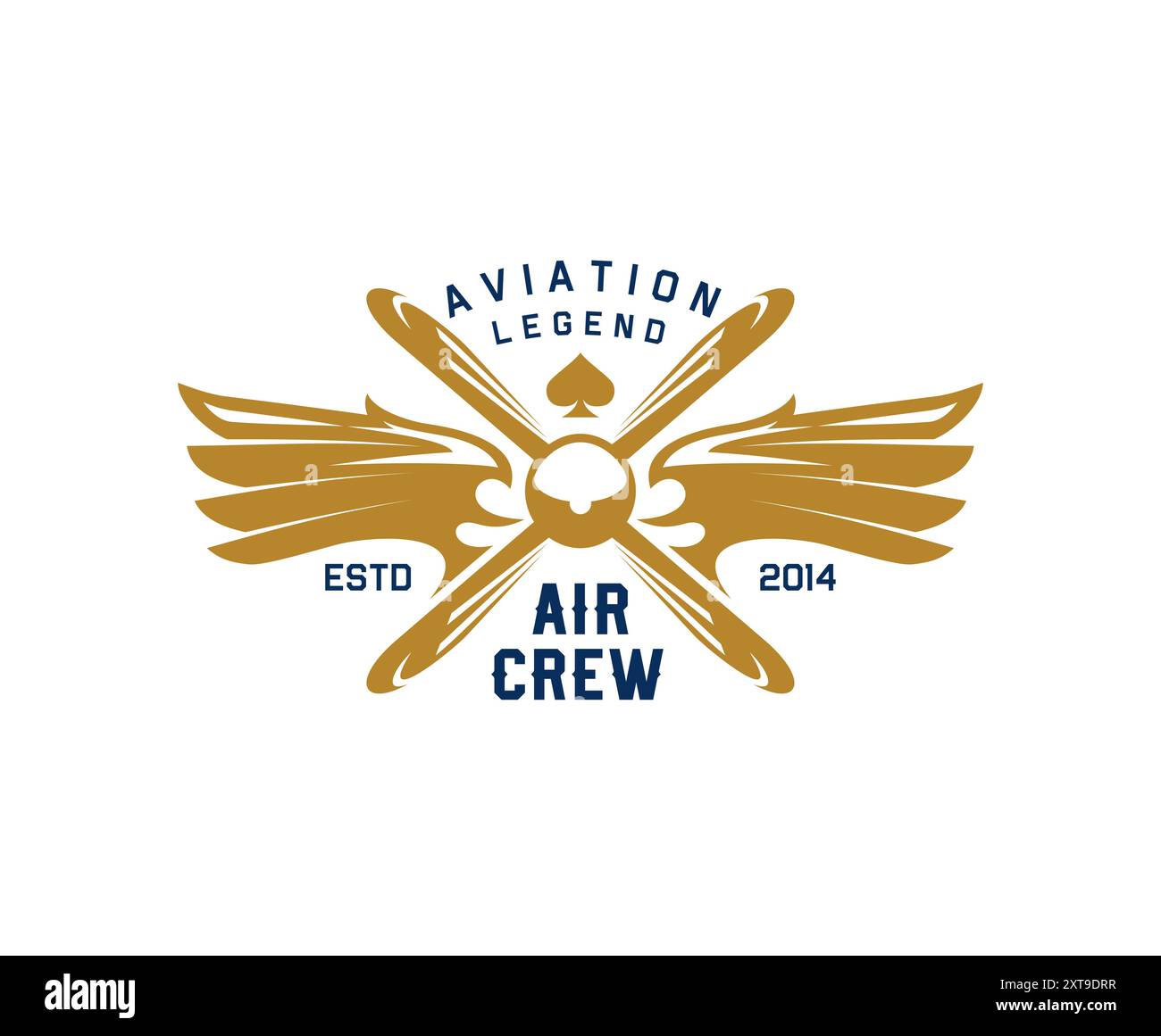 Airplane or aircraft icon for aviation academy or aviator school ...
